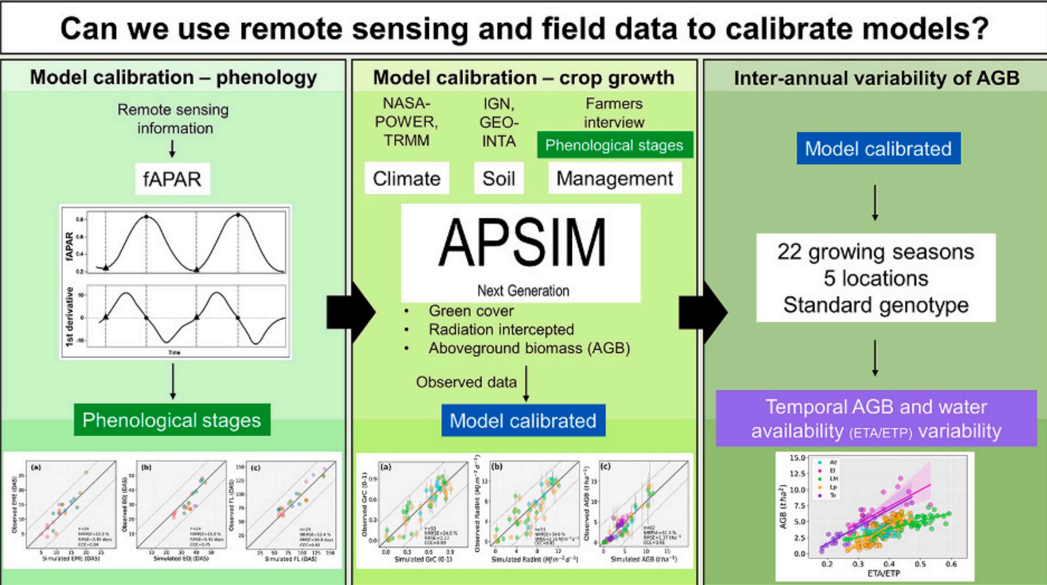 Calibrating Apsim For Forage Sorghum Using Remote Sensing And Field